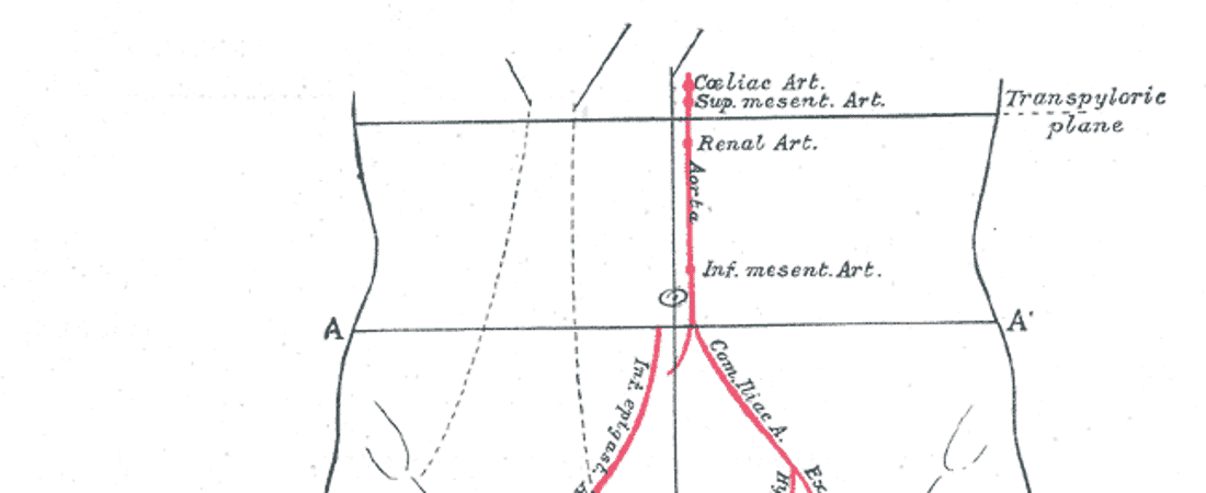 June 26, 2017 What is Inguinodynia? Symptoms Checklist and Next Steps